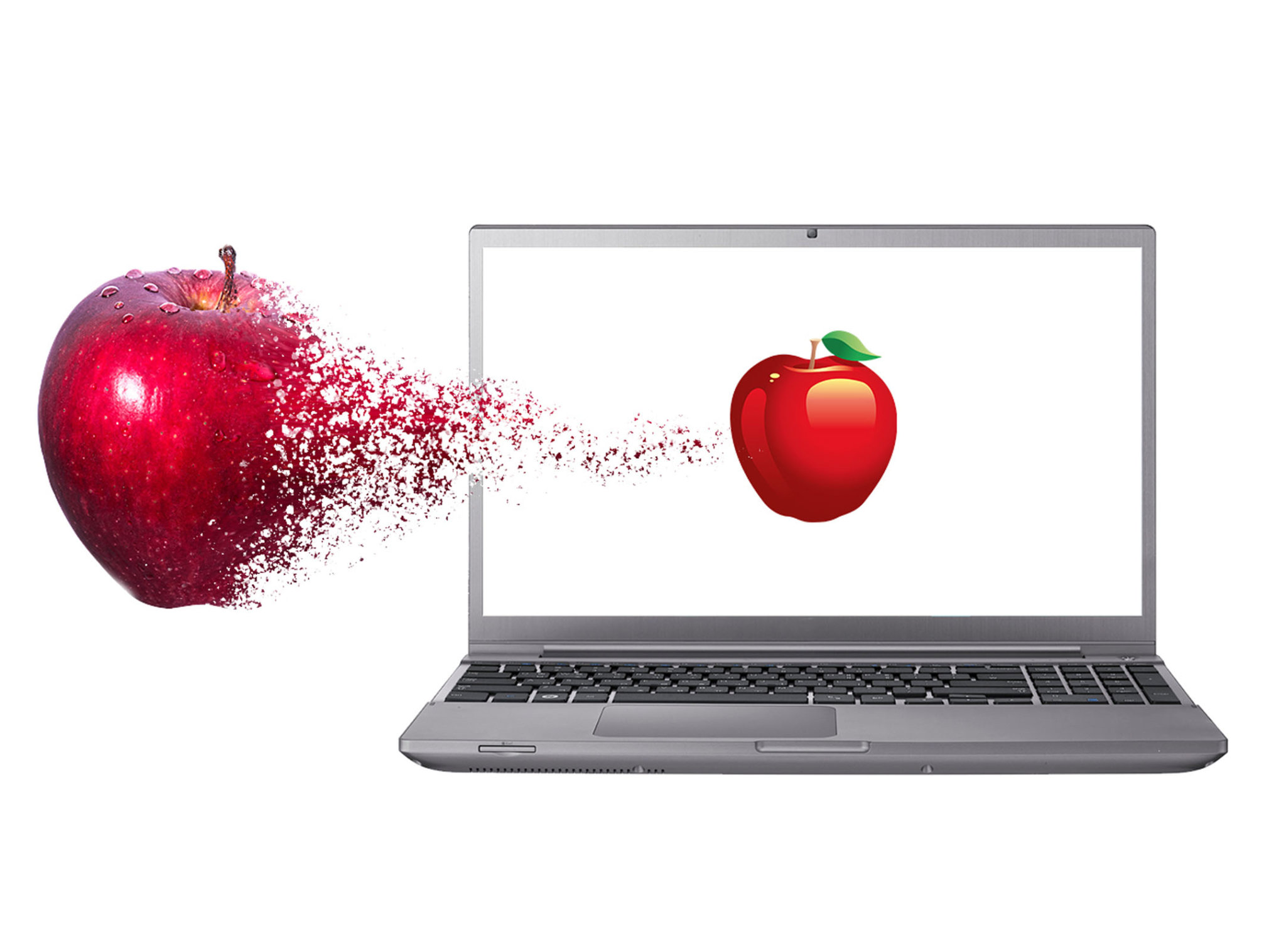 Getting a ZYTO Evaluation – ZYTO