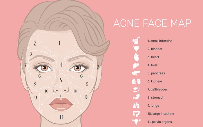 What Chinese Face Mapping Can Tell You about Your Health – ZYTO