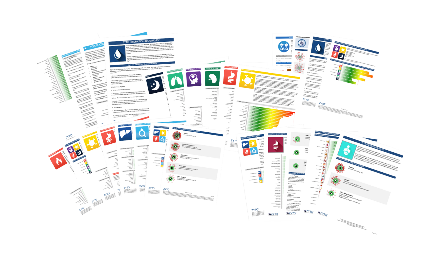 Introduction to ZYTO Reports: Wellness Insights Simplified