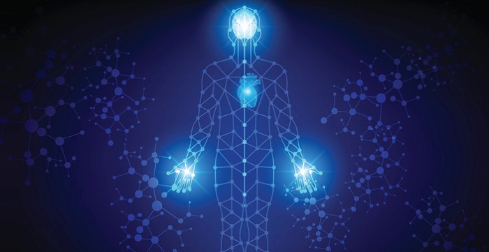 Energy Pathways Explained: The Role of Meridians in Wellness – ZYTO